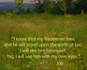 A Bright Spot in Your Day – Heart, Mind, Soul, and Strength