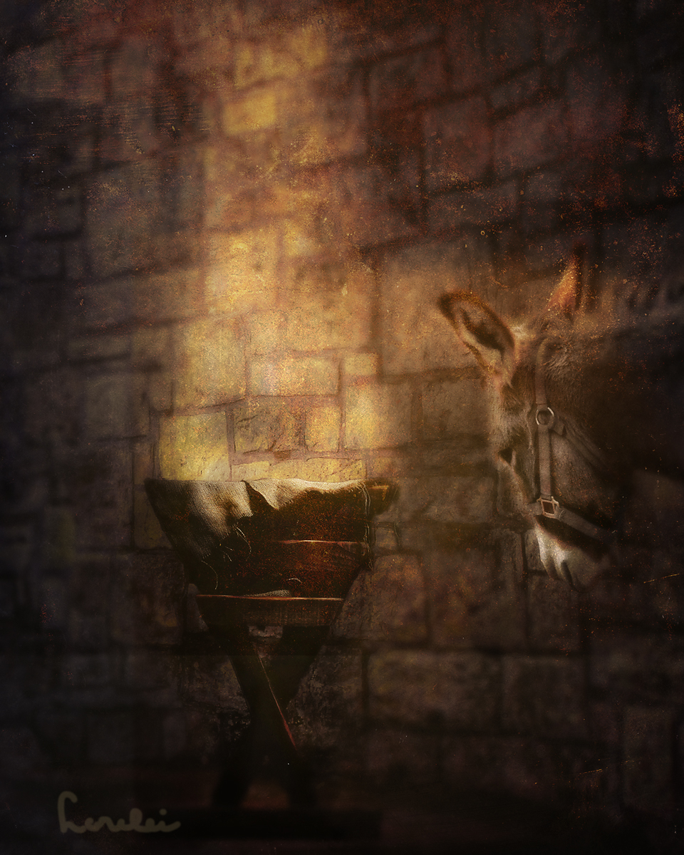 Why the Manger? – Heart, Mind, Soul, and Strength