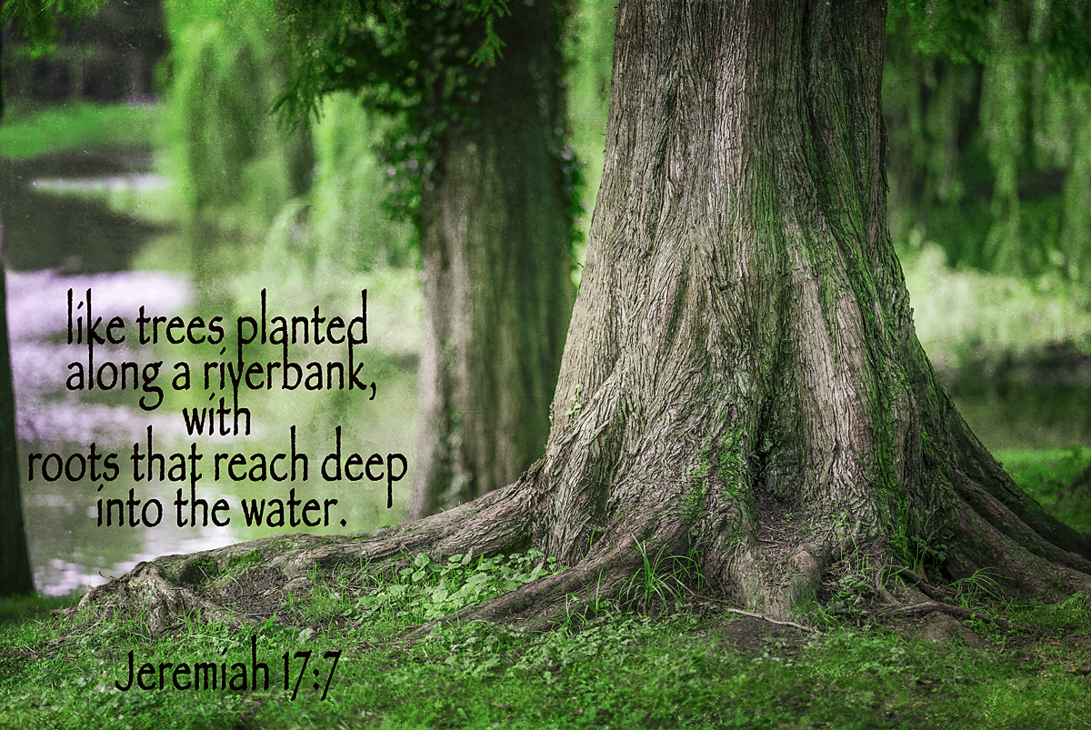 Like Trees – Heart, Mind, Soul, and Strength